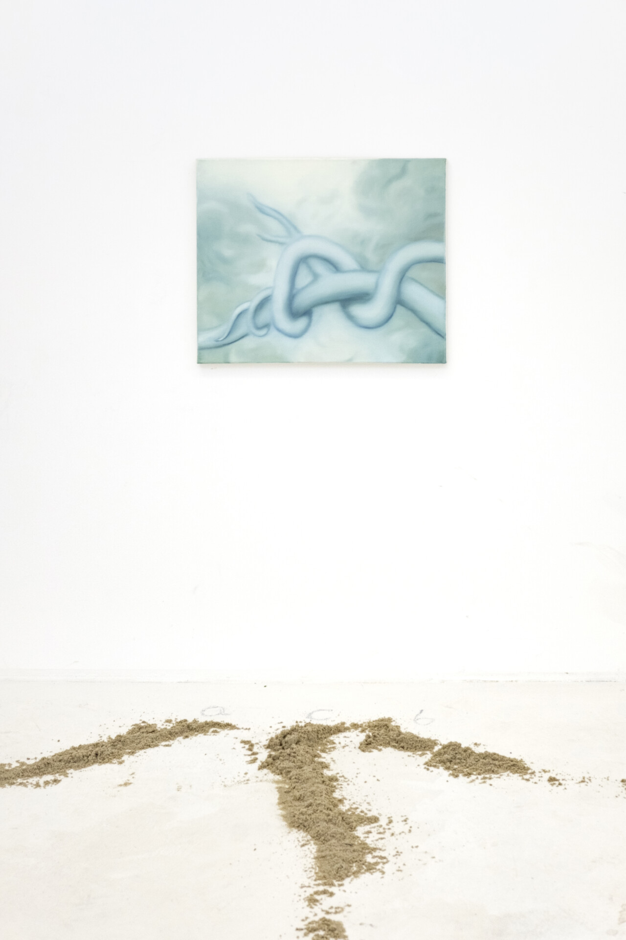 a&o Kunsthalle – Gruppenausstellung Pursue the Sandy Tail